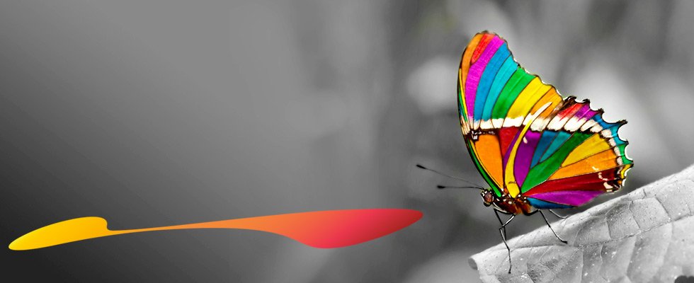 Chromatic Printing | Store